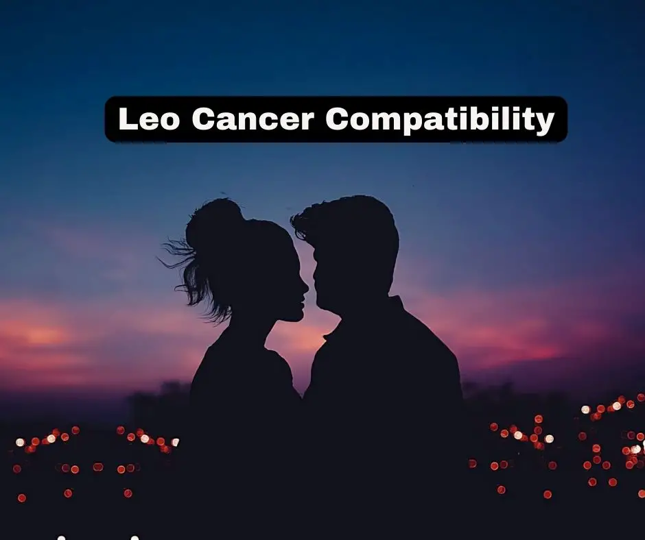 Leo Cancer Compatibility